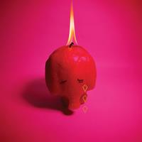 Pink Elephant - Arcade Fire - CD | IBS