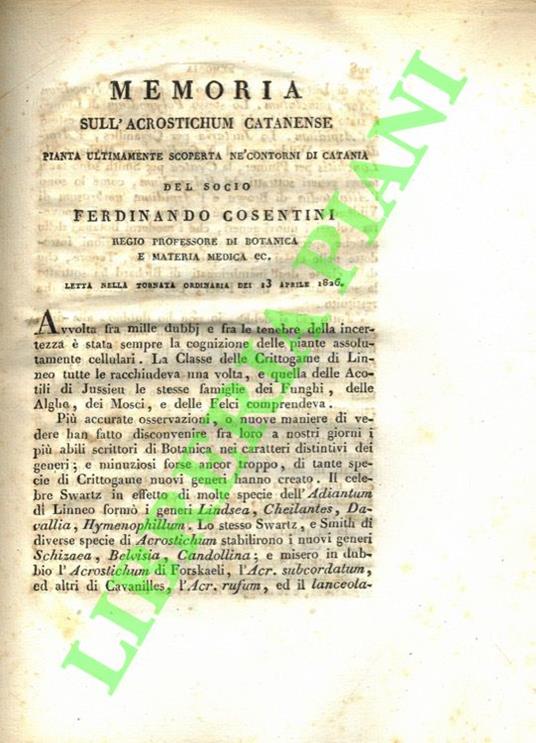 Memoria sull'acrostichum catanense pianta ultimamemnte scoperta ne ...