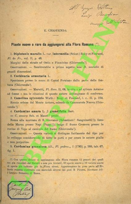 Piante nuove o rare da aggiungersi alla Flora Romana - Libro Usato ...