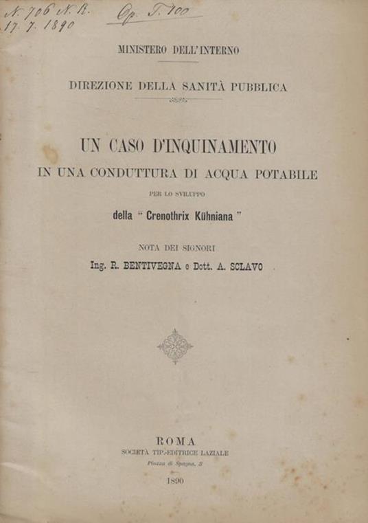 Un caso d'inquinamento in una conduttura di acqua potabile per lo ...