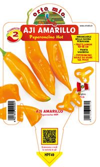 1 Pianta In Vaso Ø 14Cm Peperoncino Hot Aji Amarillo Ortomio - Ortomio ...