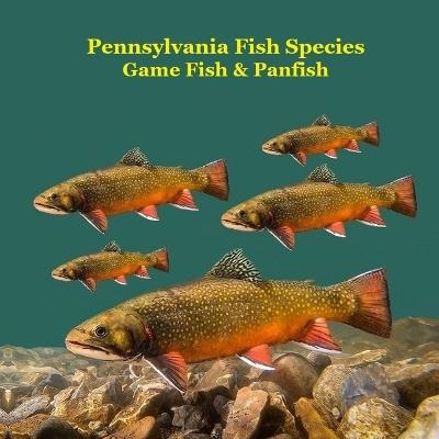 Pennsylvania Game Fish and Panfish Species Kids Book: Great Book About ...