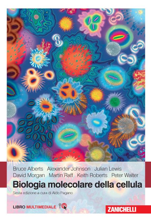 Biologia molecolare della cellula. Con e-book - Alessandro Pagano - Libro - Zanichelli - | IBS