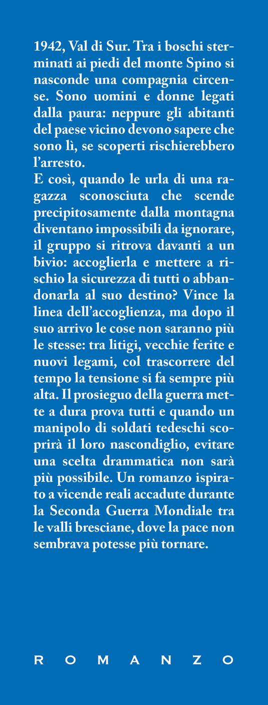 La ragazza della montagna - Veronica Del Vecchio - Libro - Newton ...