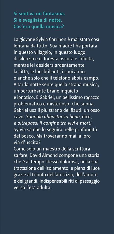 Il canto del bosco - David Almond - Libro - Salani - Fuori collana ...