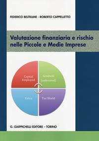 Valutazione finanziaria e rischio nelle piccole e medie imprese ...