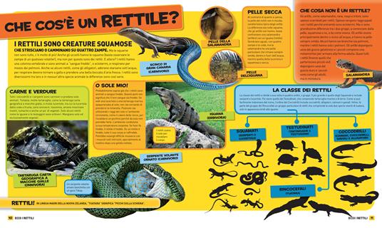 Tutto sui rettili. Ediz. illustrata - Blake Hoena - Brady Barr ...