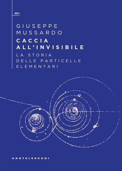 Caccia all'invisibile. La storia delle particelle elementari - Giuseppe ...