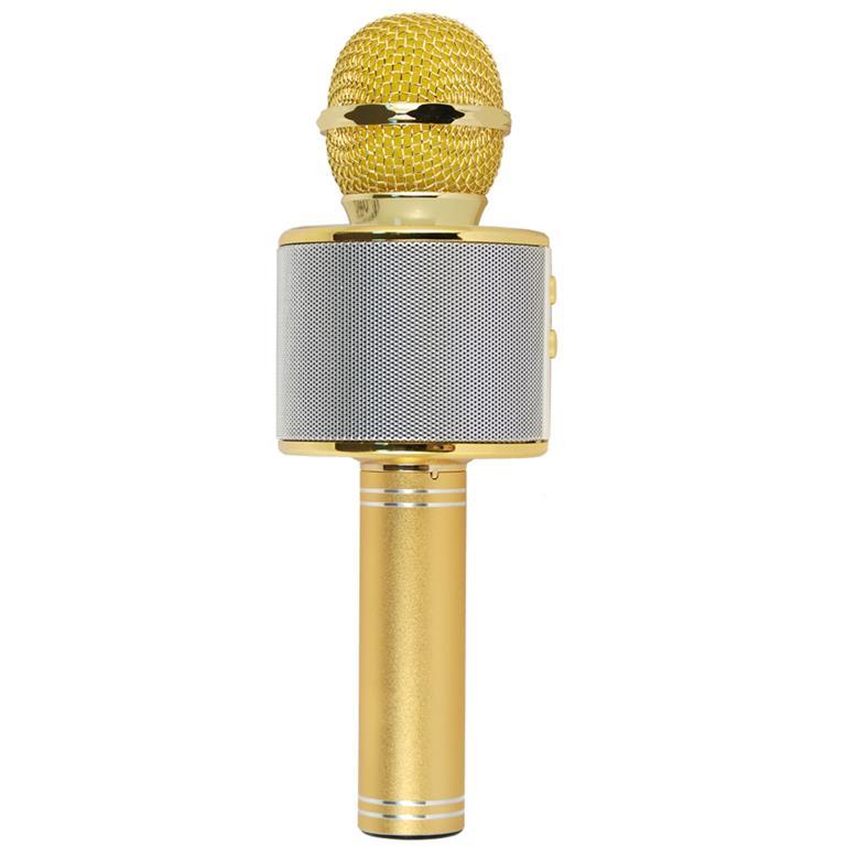Xtreme Hollywood Karaoke microphone Con cavo e senza cavo Oro, Argento ...
